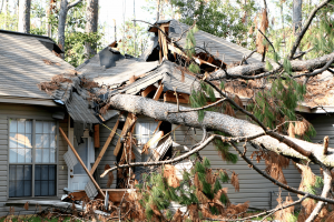 What to Do When a Tree Falls on Your House | Landmark Exteriors ...