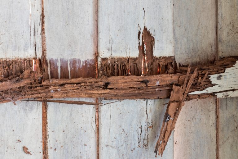 Replacing Rotted House Trim | CT Roofers