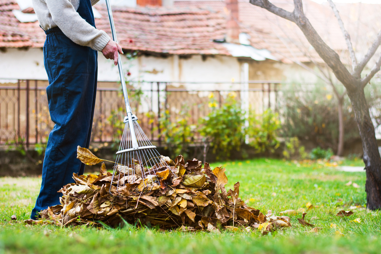 Tips for Raking Up Leaves - LANDMARK EXTERIORS